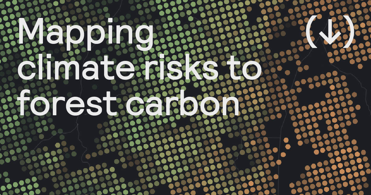 Forest Risks Carbonplan