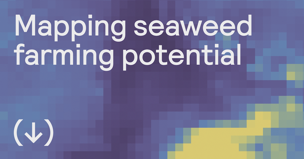 Seaweed farming – CarbonPlan
